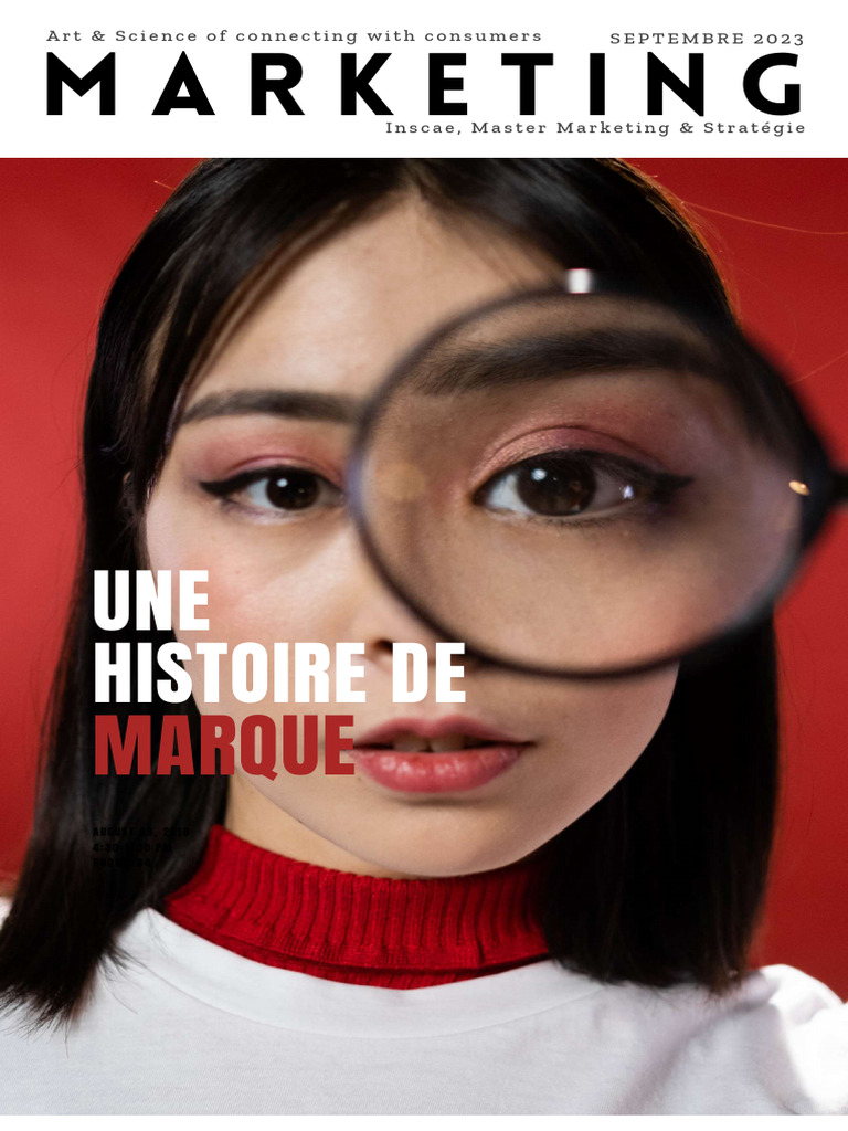 Résumé Stratégie de Marque | PDF | Marque | Consommateurs