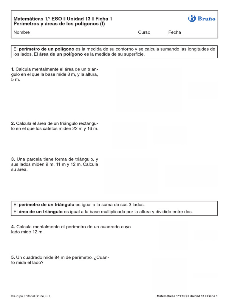 Fichas Repaso Editorial Bruño 1 Eso 85 91 | PDF
