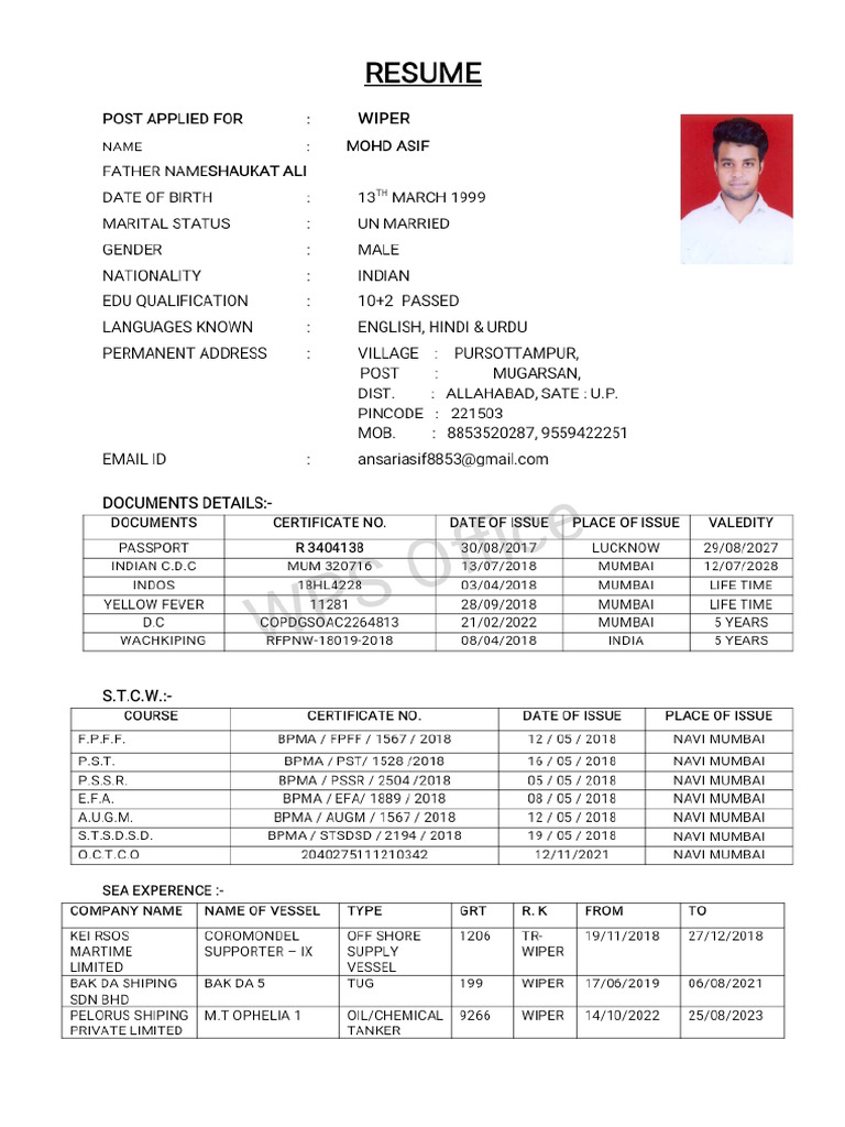 Document WPS Office | PDF