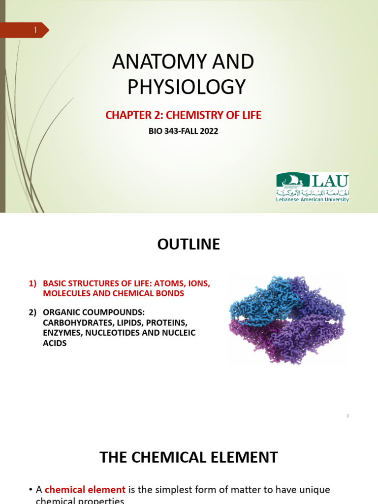 Chapter 2 - Chemistry of Life 2022-09-23 20 - 12 - 32 | PDF | Ion ...