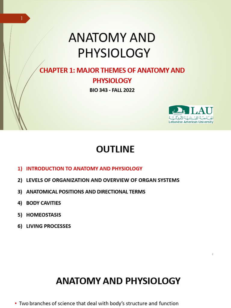 Chapter 1 - Major Themes of Anatomy and Physiology 2022-09-09 20 - 21 ...