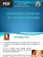 Colpoperineoplastia Anterior y Posterior | PDF