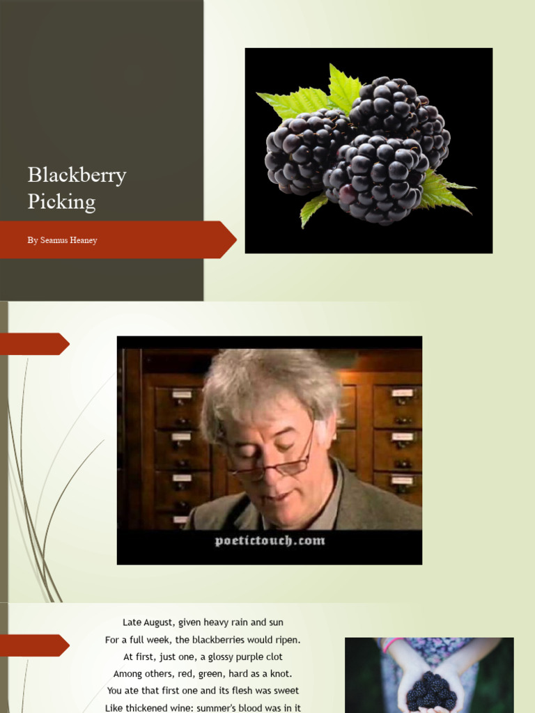 Analyzing Heaney's Blackberry Picking | PDF | Poetry