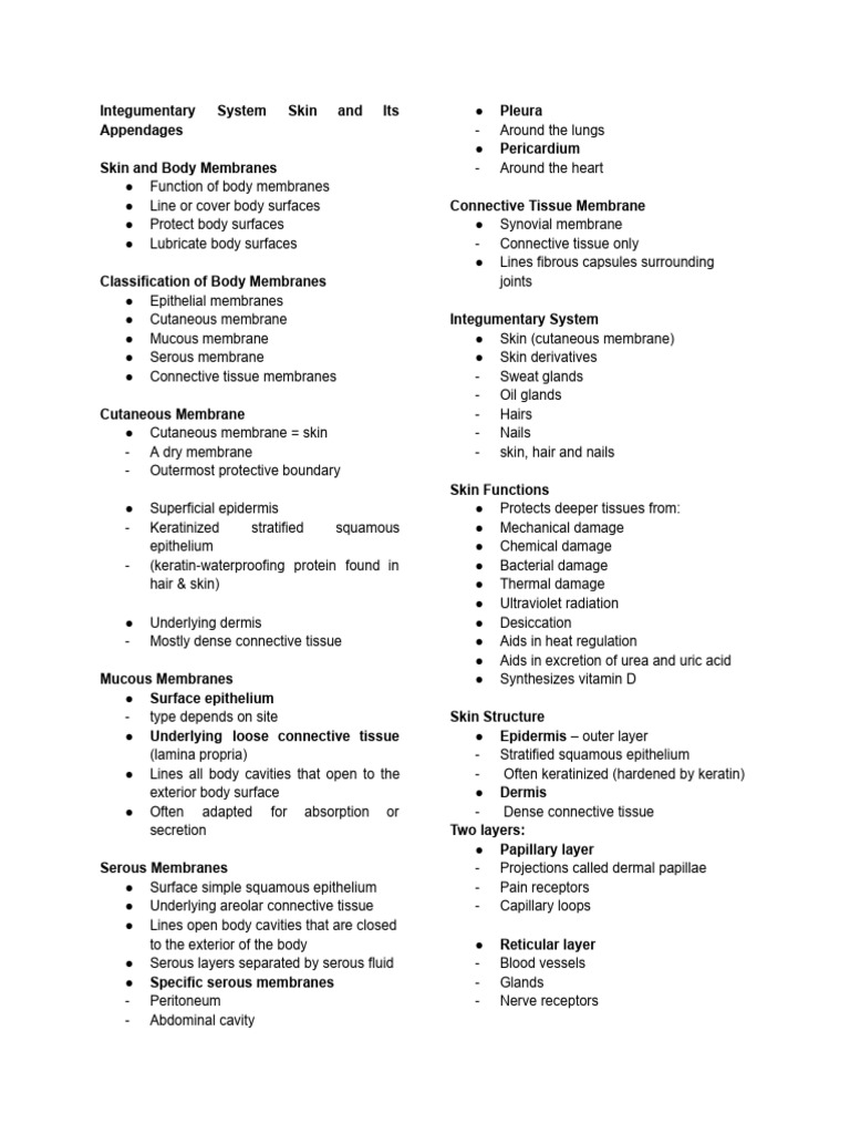 Integumentary System Skin and Its Appendages | PDF