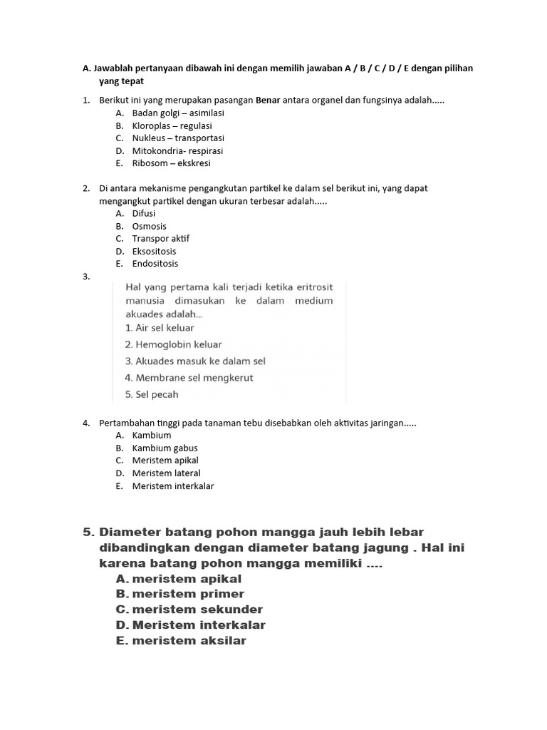 Soal Biologi Kelas 11 | PDF