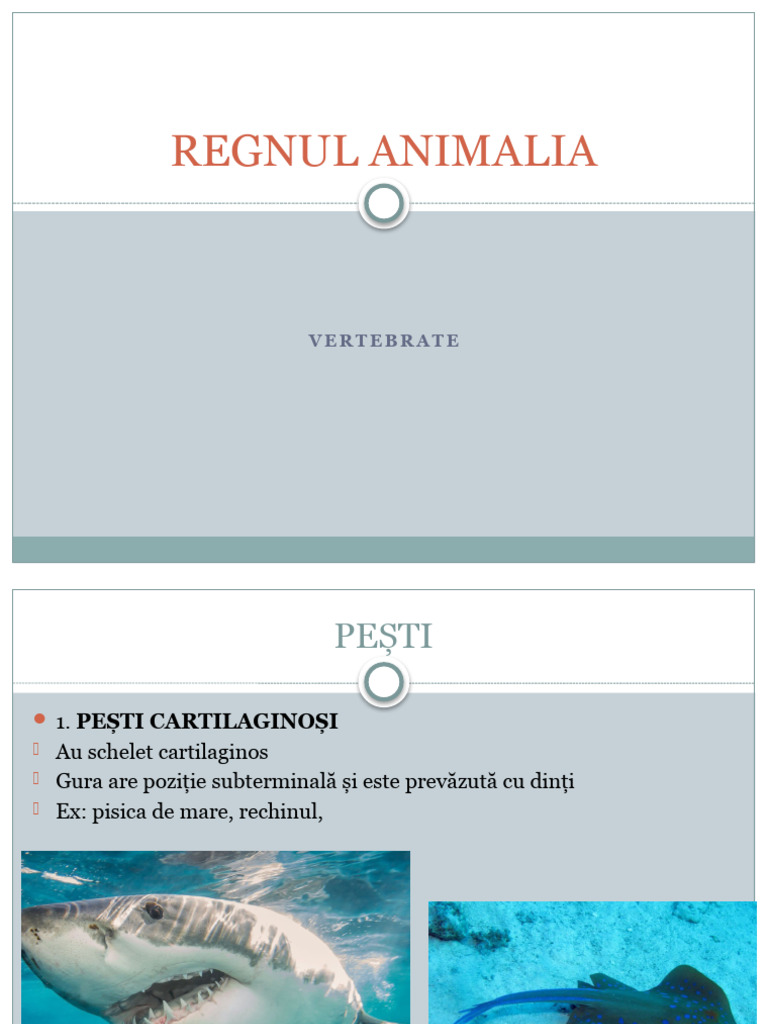 Regnul Animale - Vertebrate | PDF