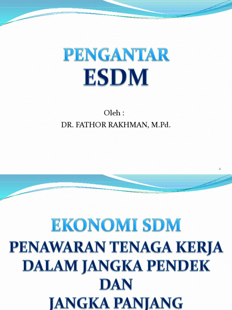 ESDM No 1 Dan 2 - Ilmu Ekonomi Tenaga Kerja | PDF