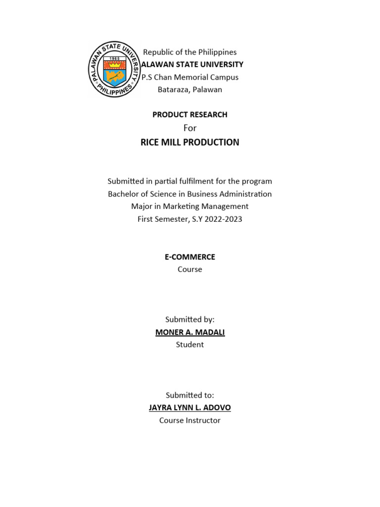 Strategic Plan (MM Rice Mill) | PDF