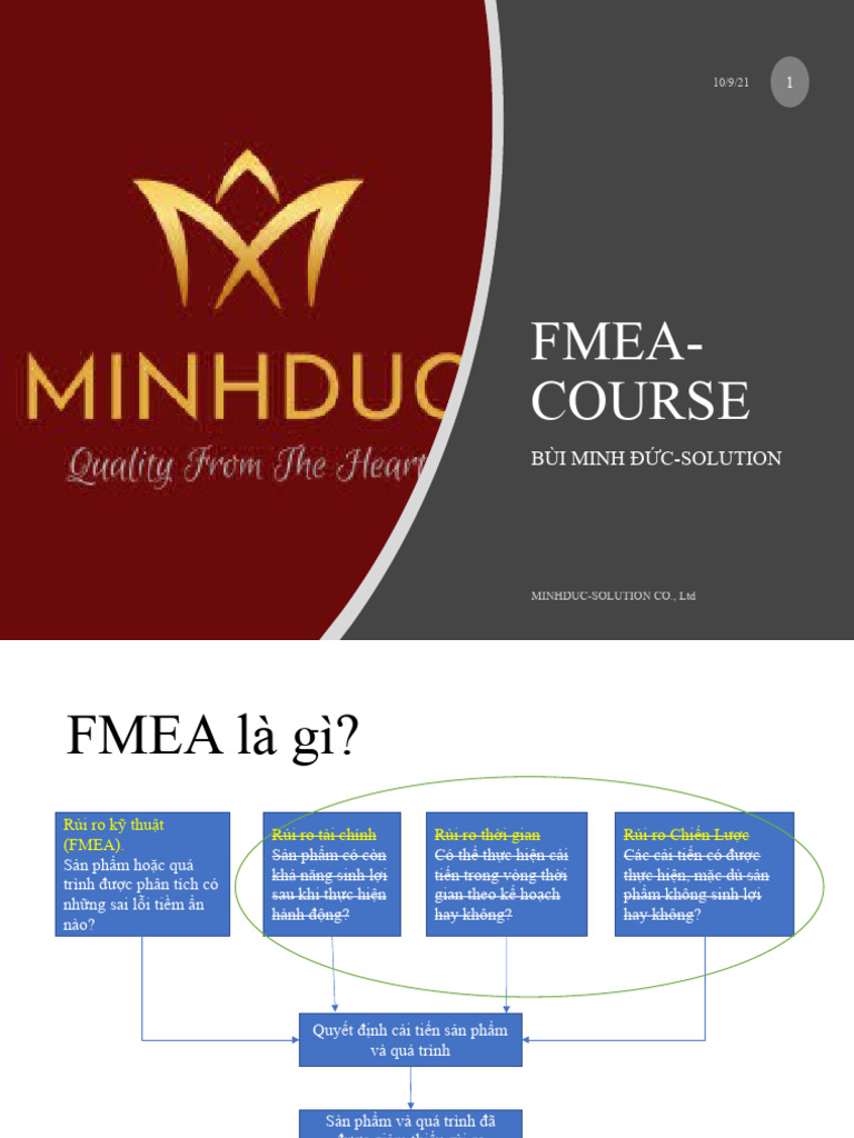 Fmea Example | PDF