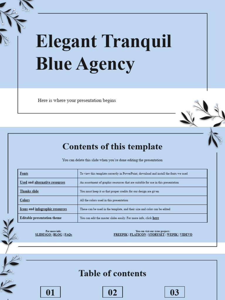 Elegant Tranquil Blue Agency by Slidesgo | PDF | Brand | Target Audience