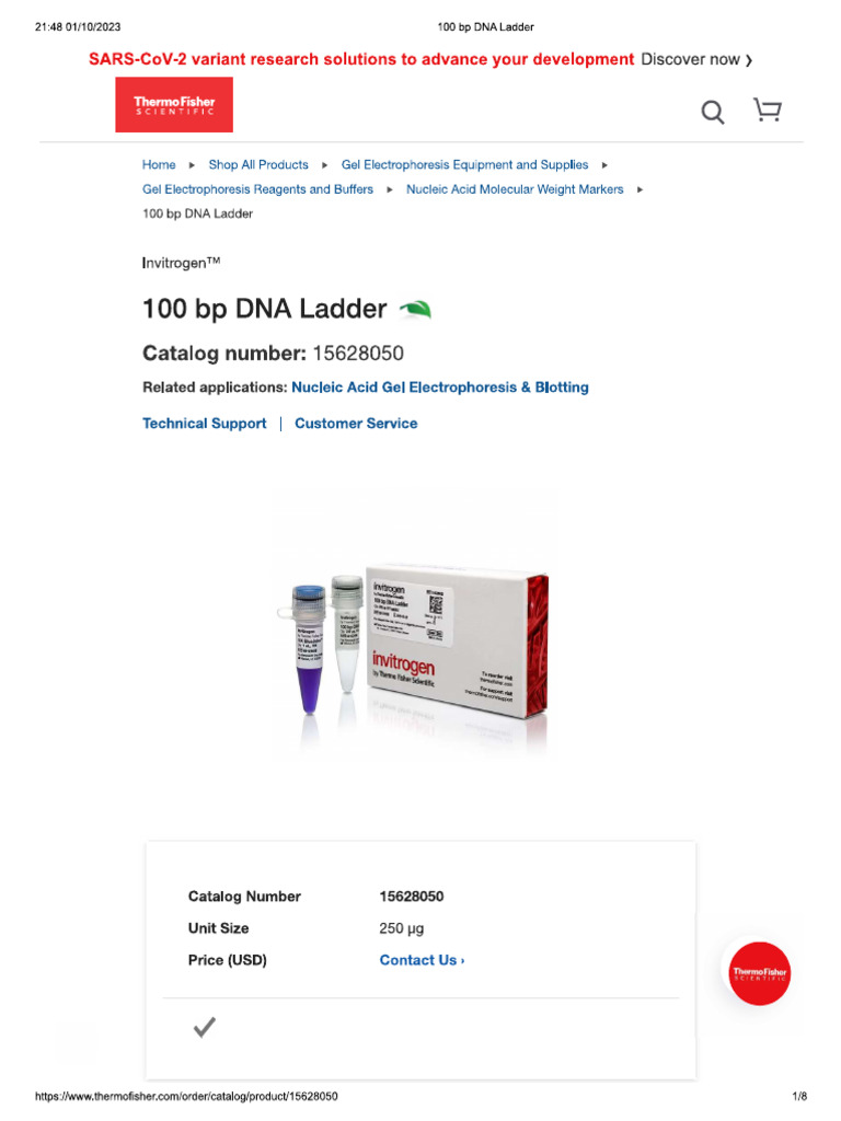 20. 100 bp DNA Ladder | PDF