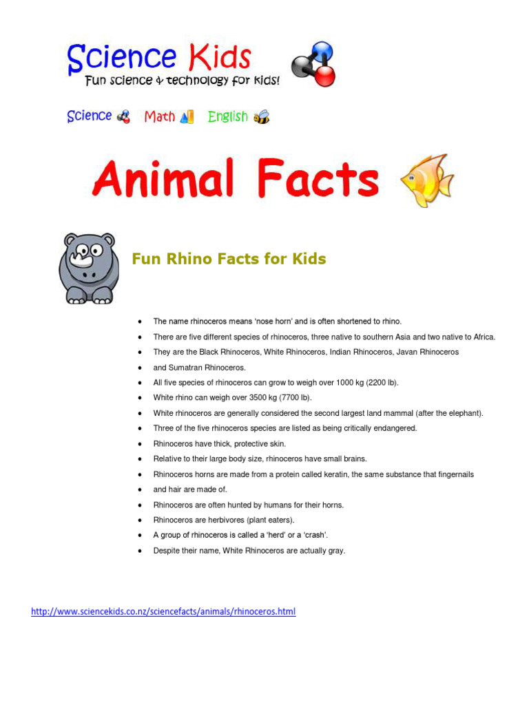 (PROJECT) RHINO - Facts For Kids - Science Kids | PDF