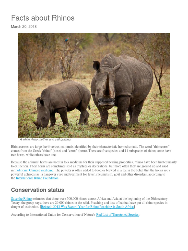 (PROJECT) RHINO - Facts About Rhinos - Live Science | PDF
