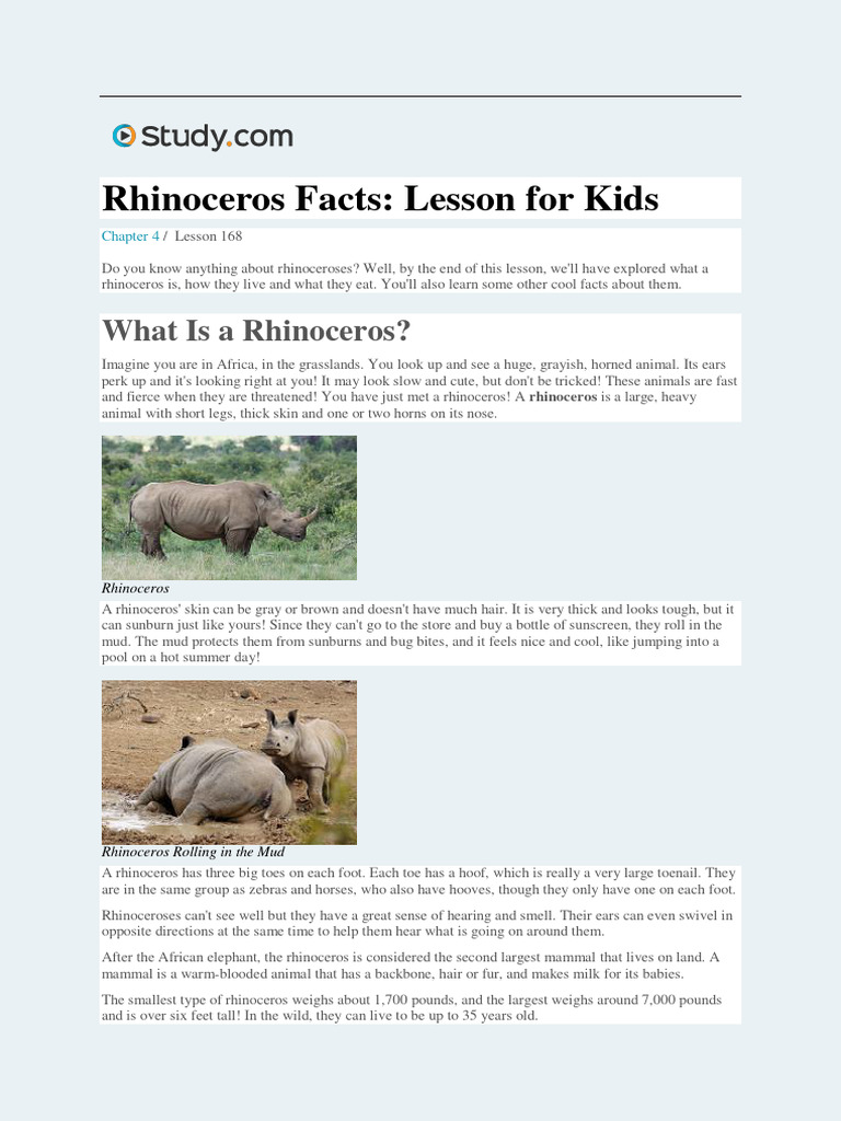 (PROJECT) RHINO - Rhinoceros Facts For Kids - Study | PDF | Rhinoceros ...
