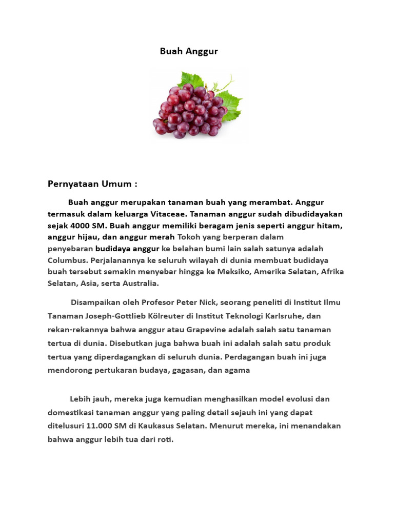 Buah Anggur J Observasi Kel. 5 | PDF