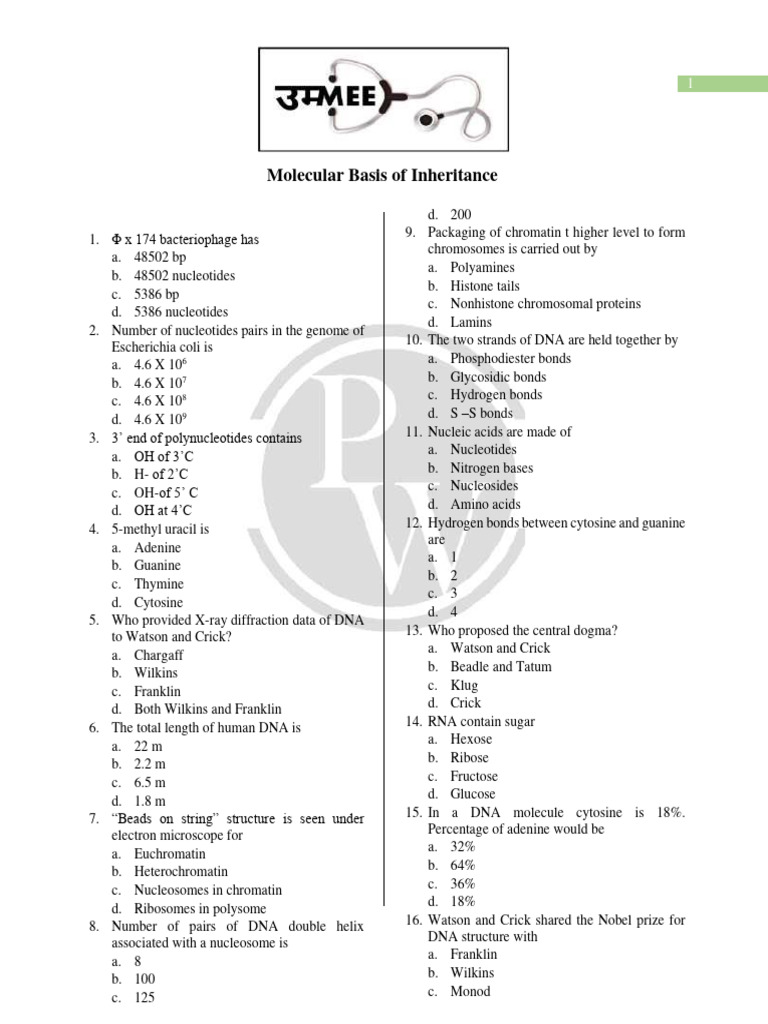 Molecular Basis of Inheritance 01: Practice Sheet | PDF | Dna | Base Pair Molecular Basis of Inheritance 01: Practice Sheet | PDF | Dna | Base Pair