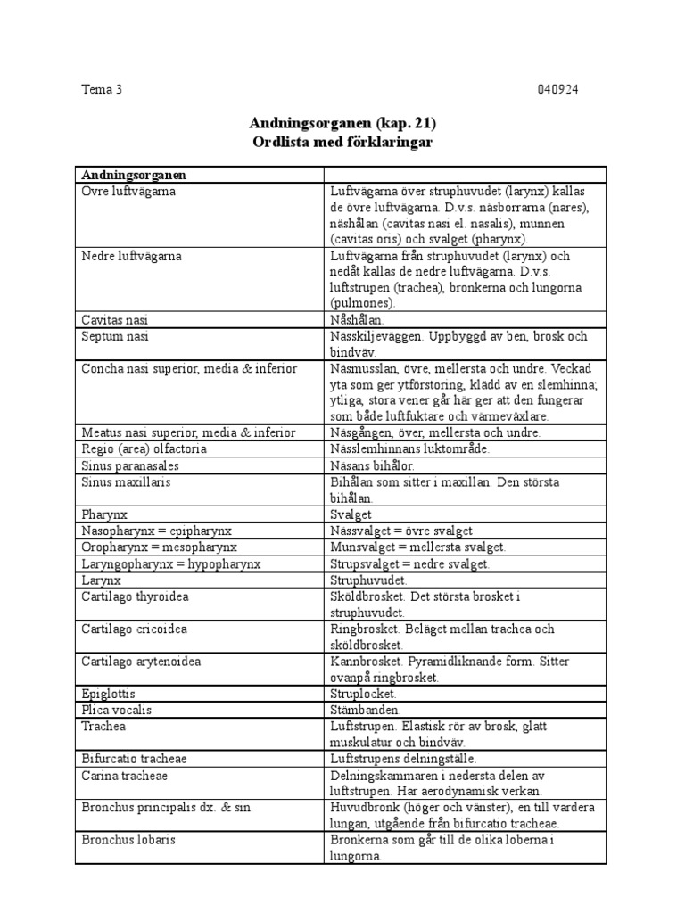 Anatomi Tema 3 - Andningsorganen Ordlista 040924 | PDF