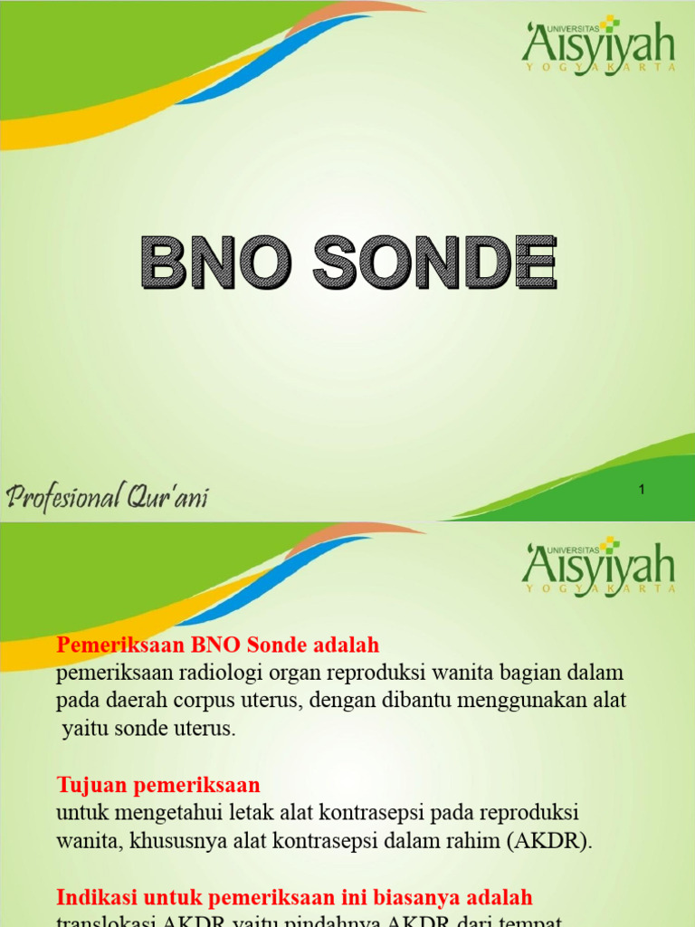 Pelvis Sonde Dan Fetografi | PDF | Sains & Matematika