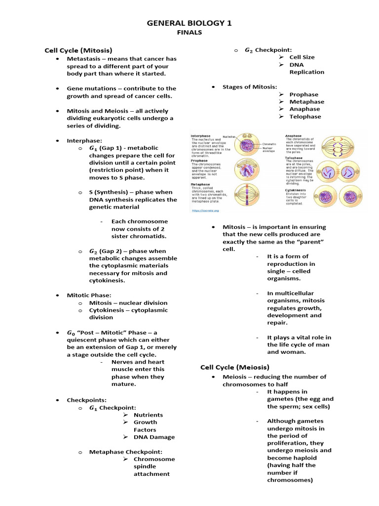 Gen Bio 1 (Reviewer Finals) | PDF
