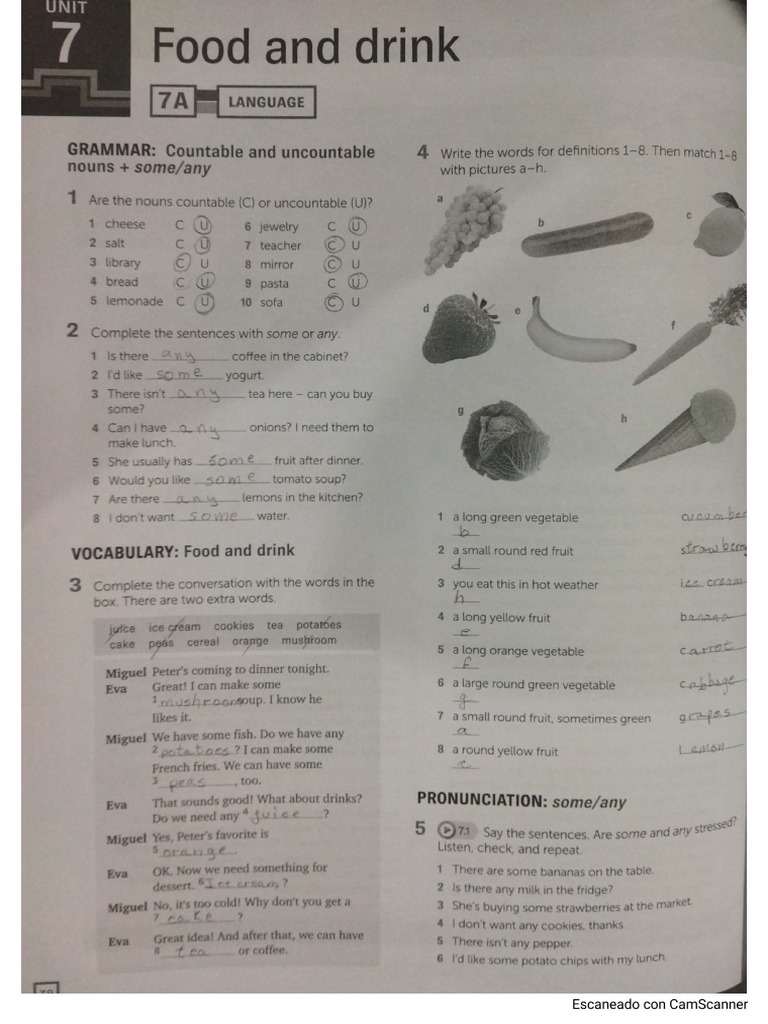 Worbook Unid 7worbook Pdf