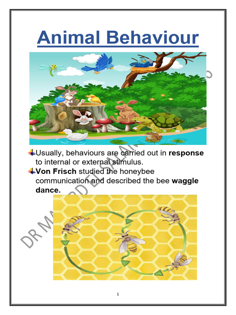 Understanding Animal Behavior Patterns | PDF | Natural Selection ...