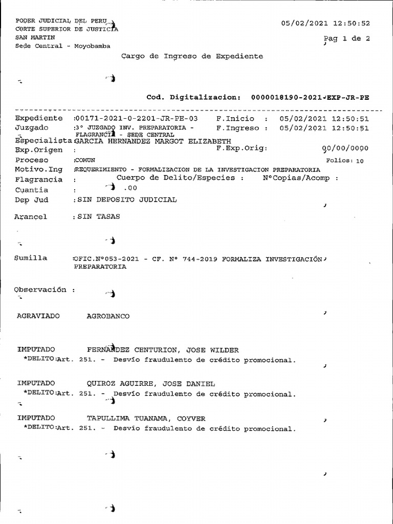 formalizacion | PDF | Fiscal | Derecho penal
