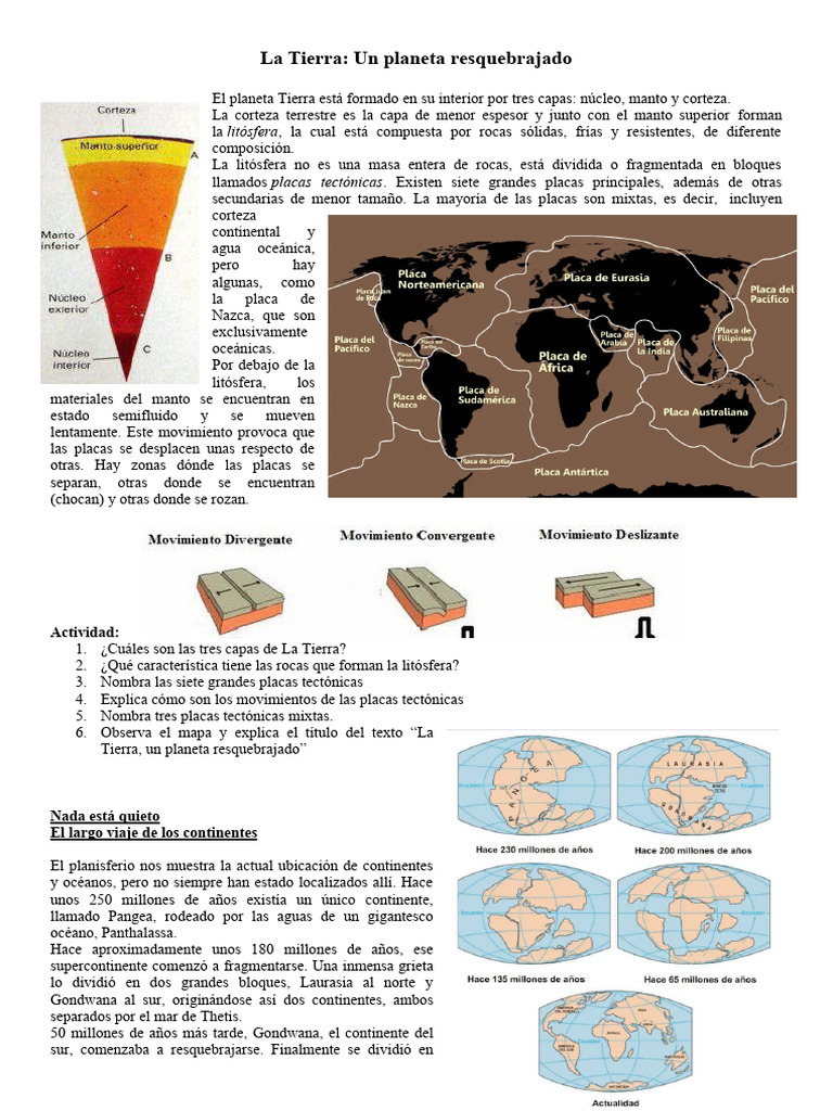 Repartido Corteza, Placas | PDF