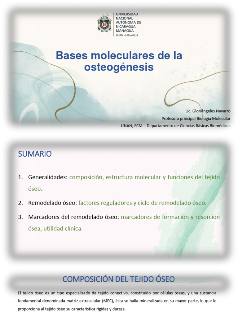 Bases Moleculares de La Osteogénesis | PDF