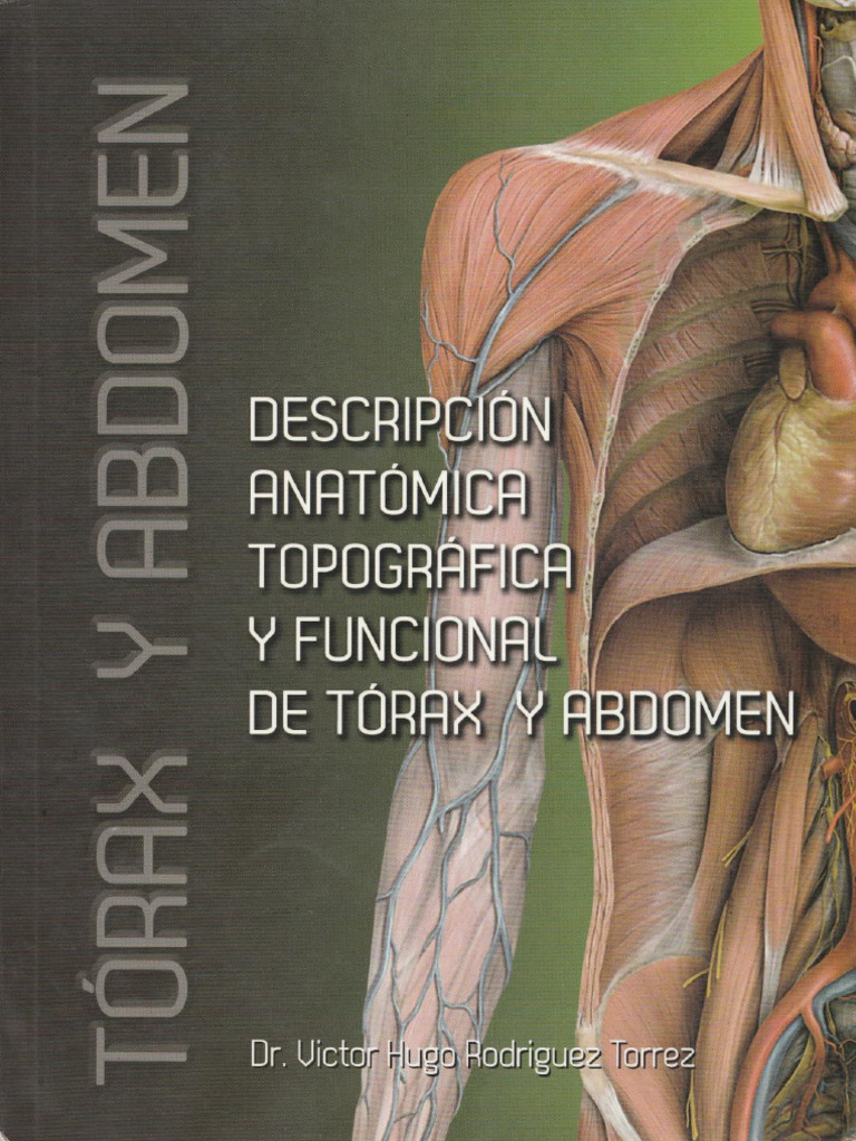 Libro Digest Ivo | PDF