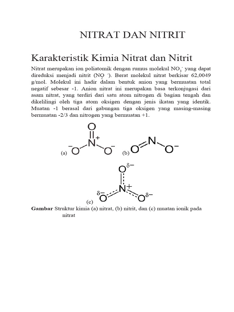 Perbedaan Nitrat dan Nitrit dalam Tanaman | PDF | Sains & Matematika
