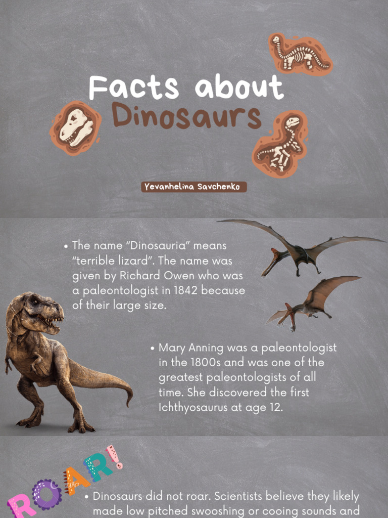 Facts About Dinosaurs | PDF
