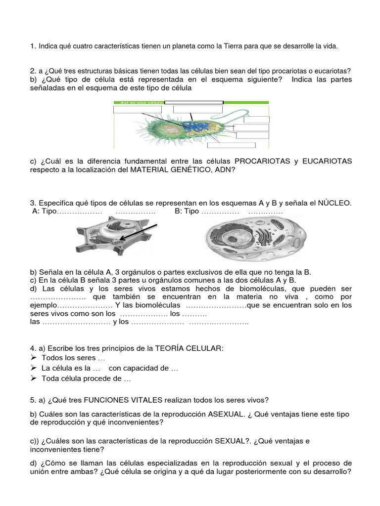 La Celula y La Clasificacion de Los Seres Vivos-Examen | PDF | Salud y ...