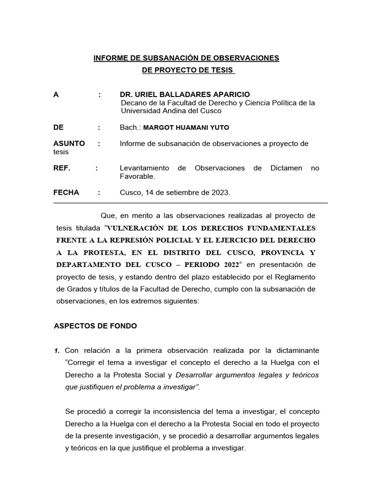 Informe de Subsanación de Observaciones | PDF