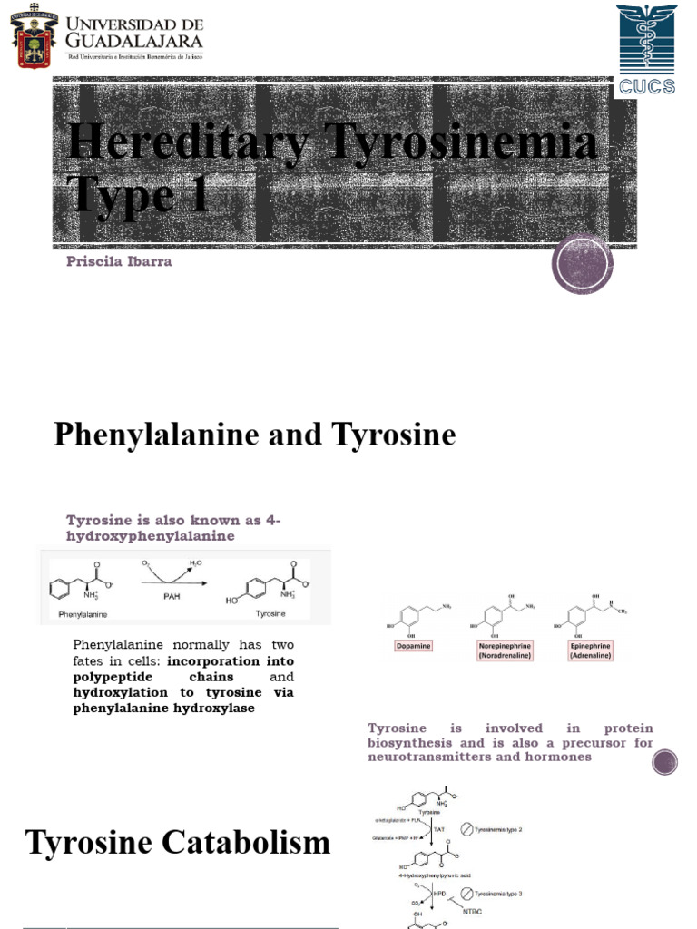 Hereditary Tyrosinemia Type 1 Overview | PDF