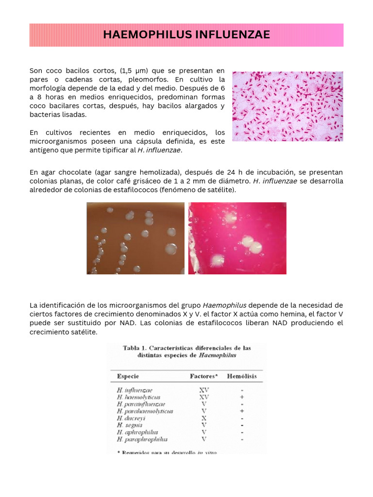 Haemophilus influenzae | PDF