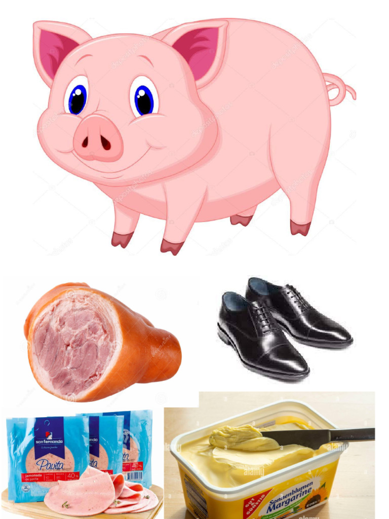 Derivados Del Cerdo | PDF