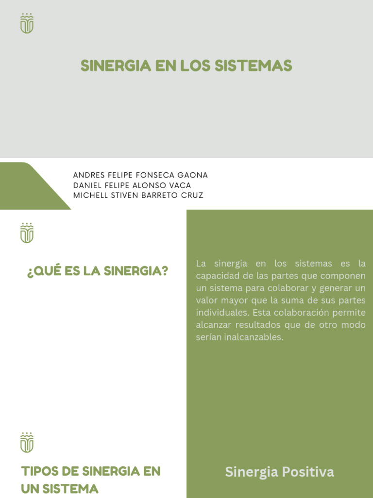 Sinergia en Los Sistemas | PDF | Comunicación | Sistema