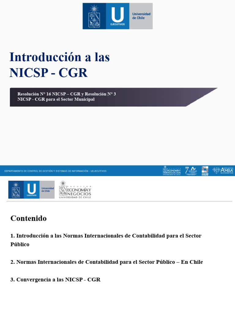 Introduccion A Las NICSP - CGR | PDF