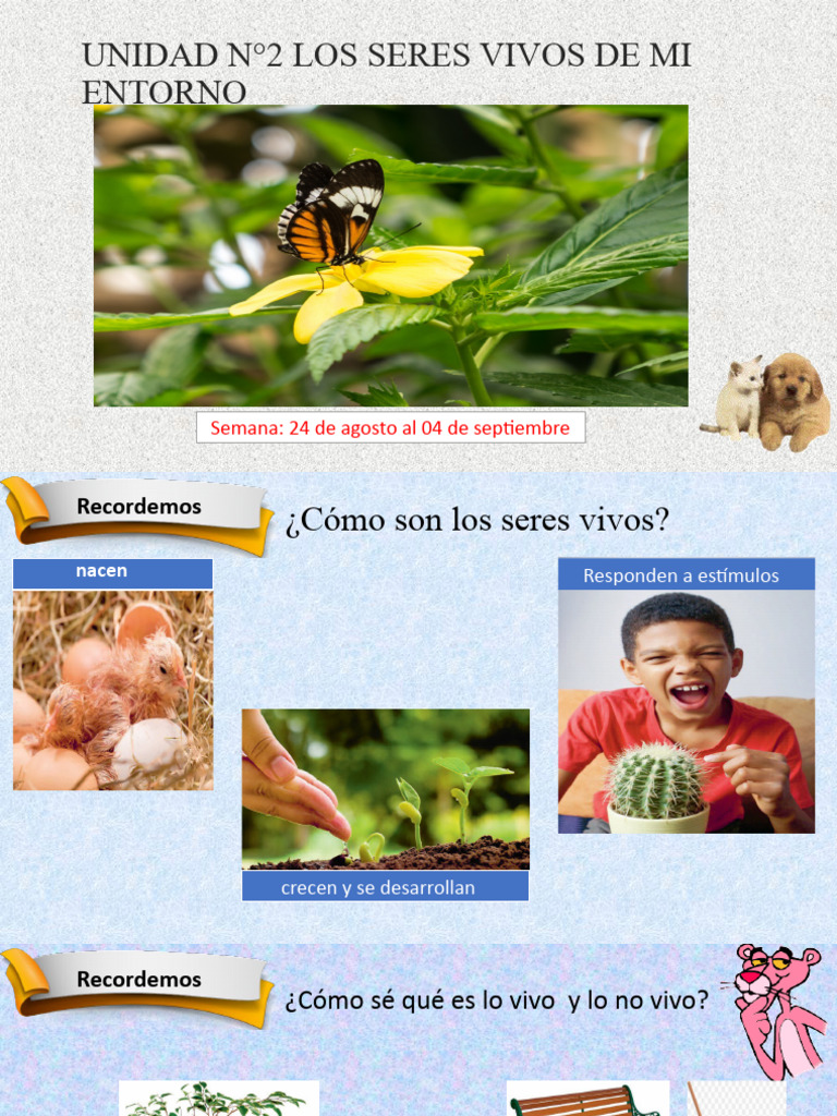 Ciencias Los Seres Vivos de Mi Entorno 1 | PDF