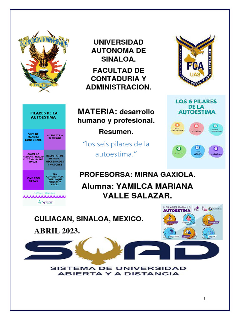 Resumen 6 Pilares | PDF | Autoestima | Verdad
