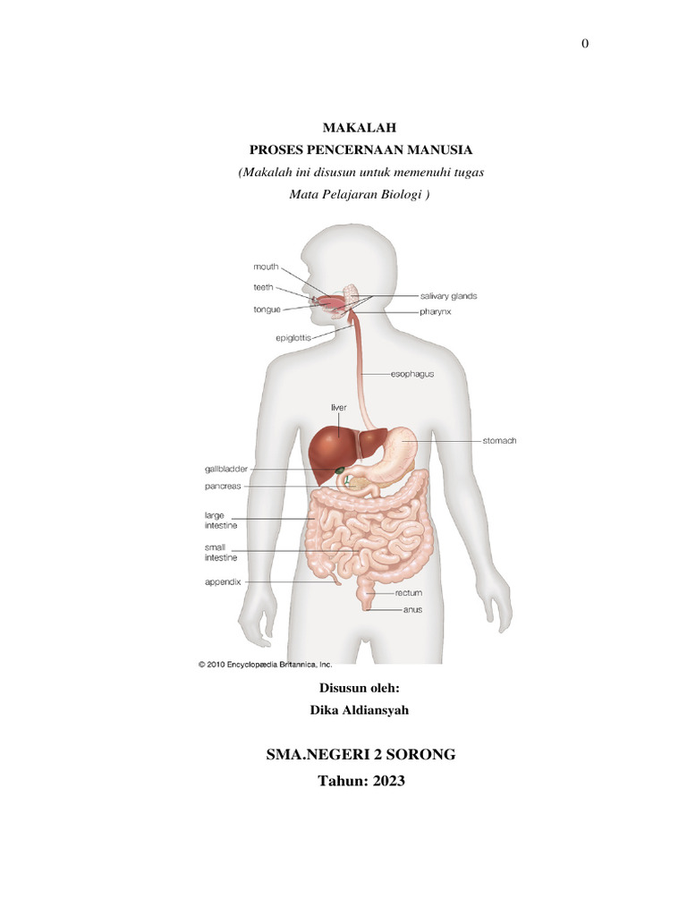 Sistem Pecernaan Pada Tubuh Manusia 1. Pengertian Proses Pencernaan - 20231004 - 000318 - 0000 | PDF