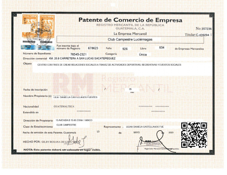 EJEMPLO DE LLENADO DE PATENTE | PDF