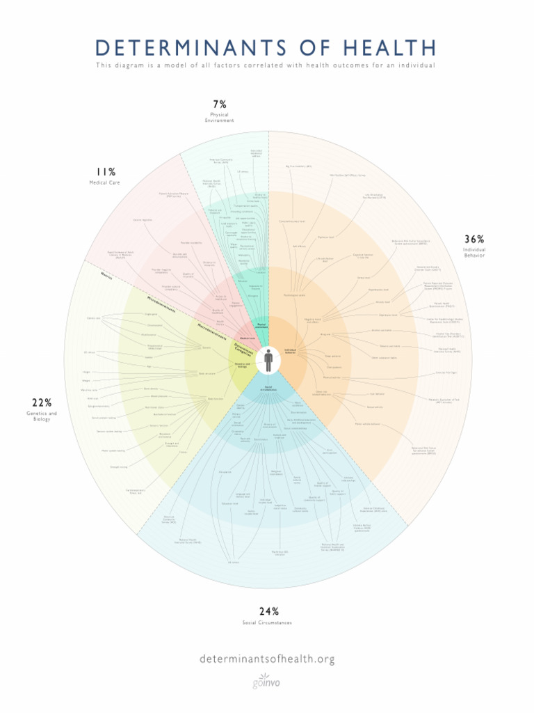 Health Determinants Poster 42x50 | PDF
