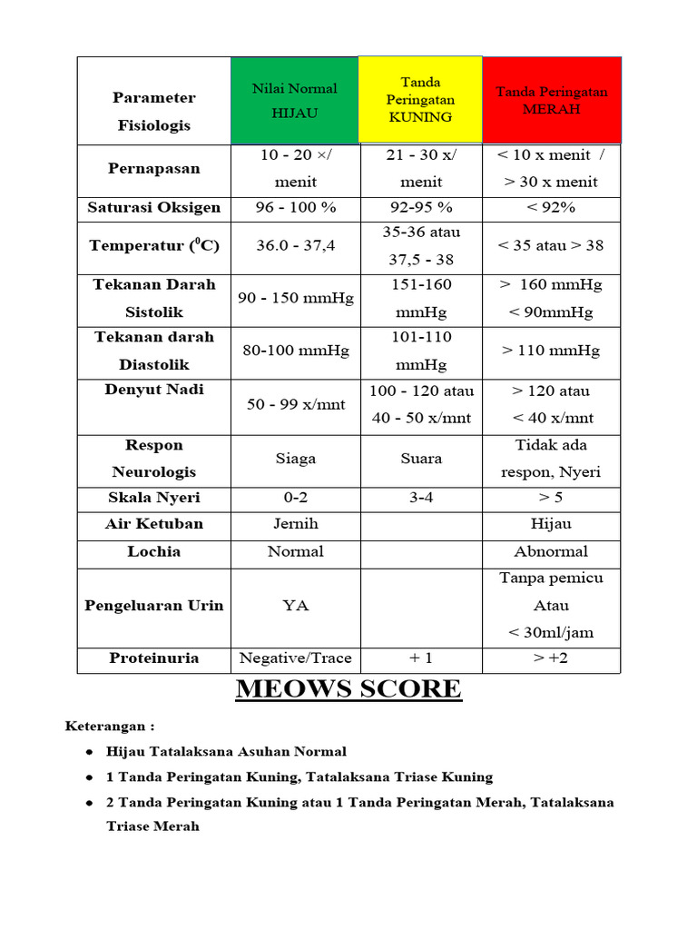 Meows Score | PDF