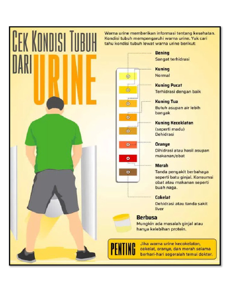 Poster Warna Urine | PDF