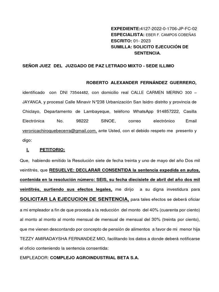 Ejecucion de Sentencia Rober | PDF