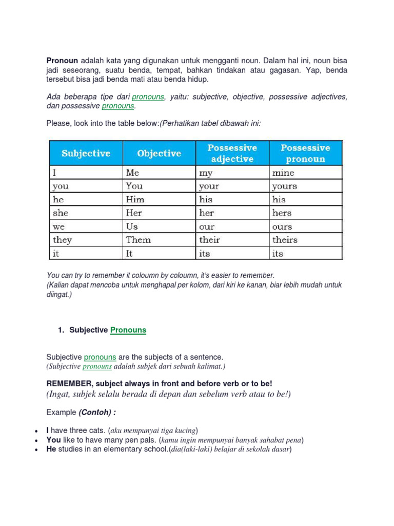 Materi Pronoun | PDF