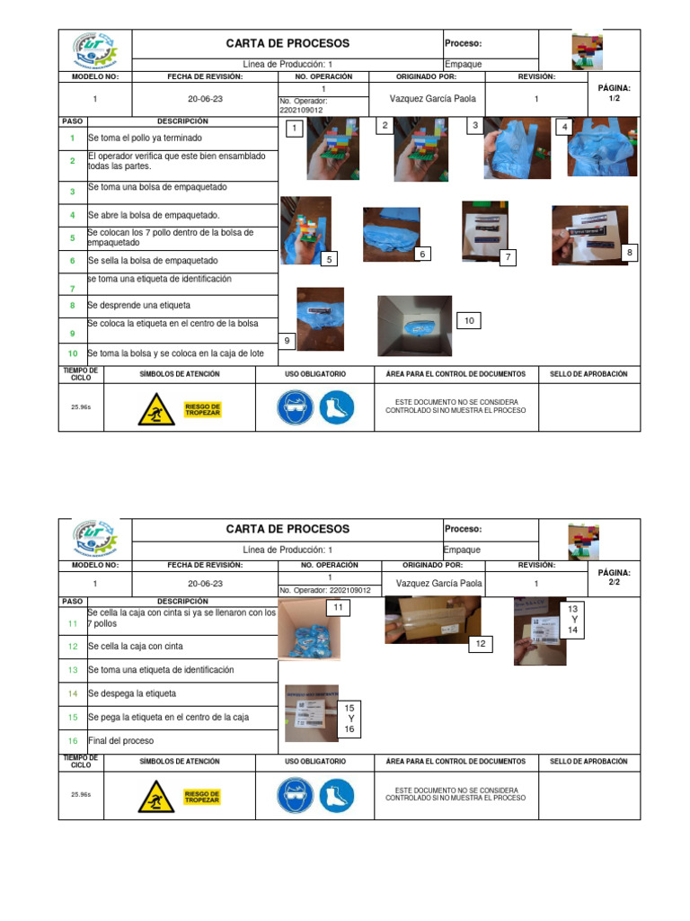 Carta de Proceso de Empaque Industrial | PDF