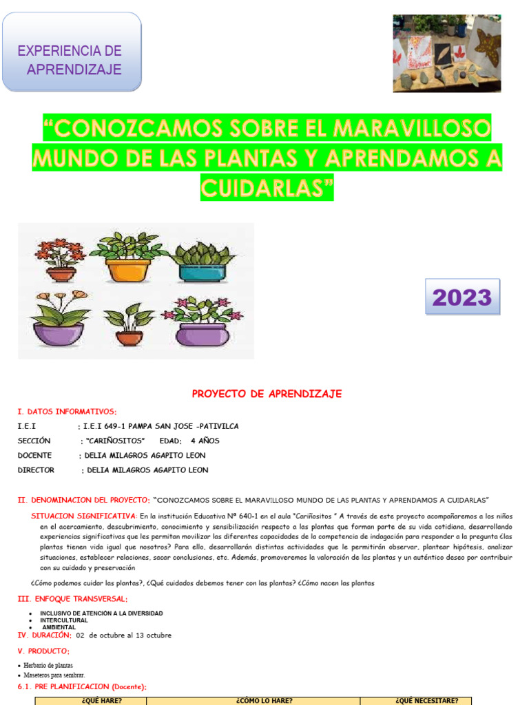 “CONOZCAMOS SOBRE EL MARAVILLOSO MUNDO DE LAS PLANTAS Y APRENDAMOS A ...