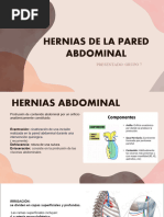 10 Clasificación de Las Hernias | PDF | Abdomen | Pelvis